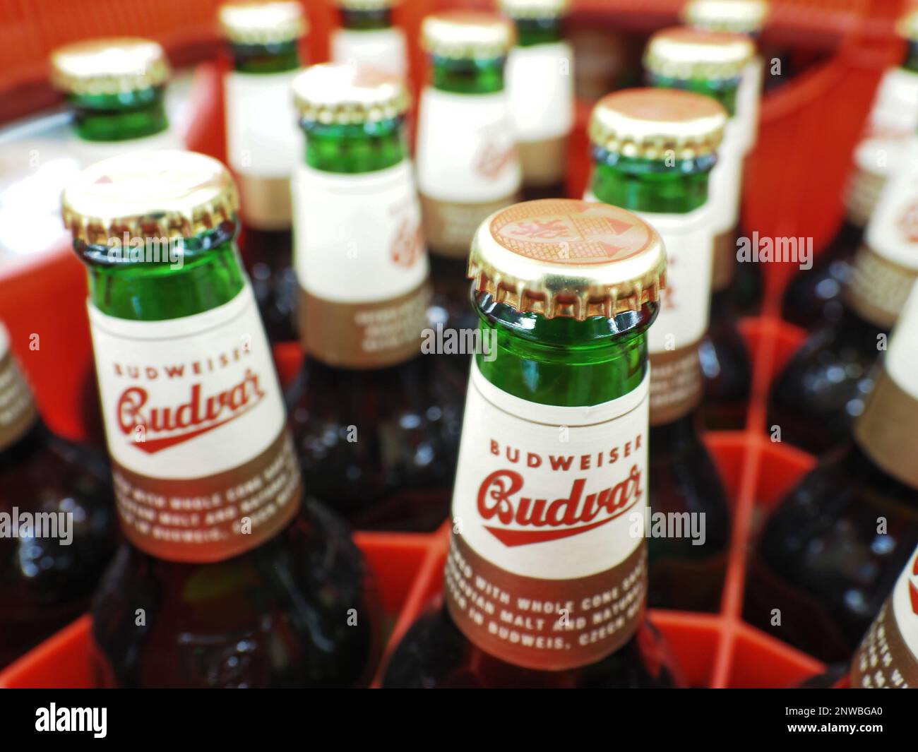 In this photo illustration, Budweiser beer in the red box Stock Photo ...