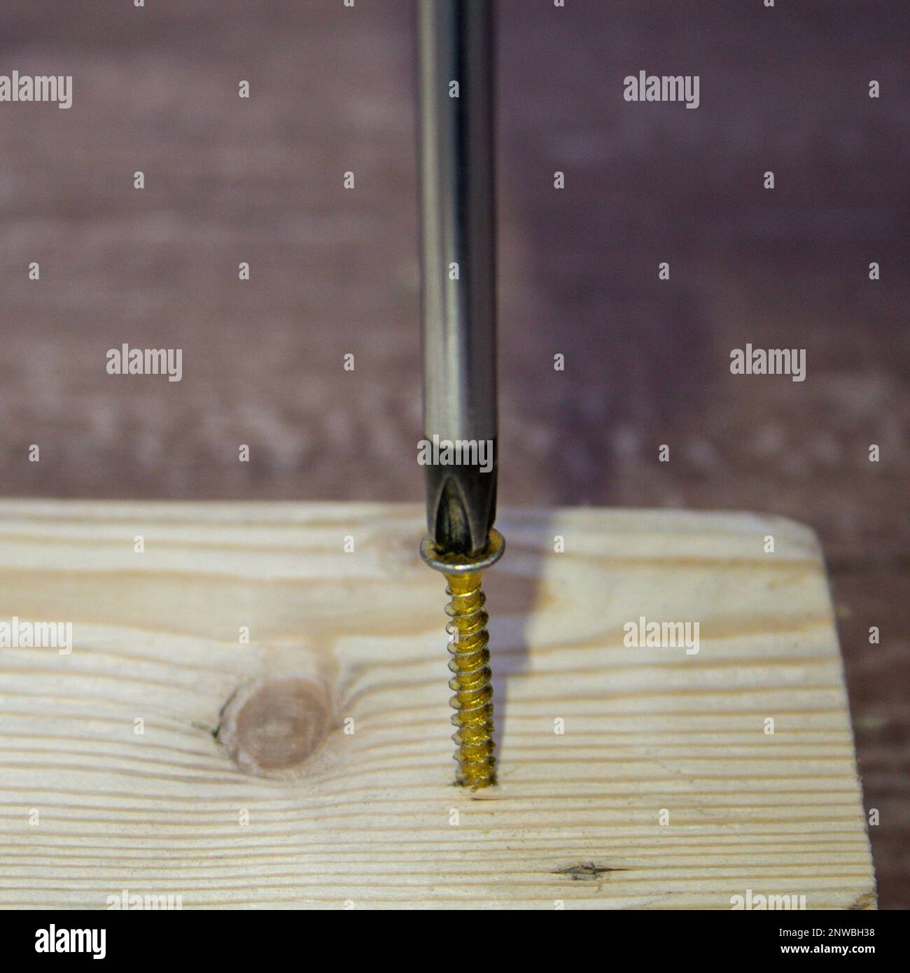 Image of the head of a screwdriver driving a screw into a piece of wood ...