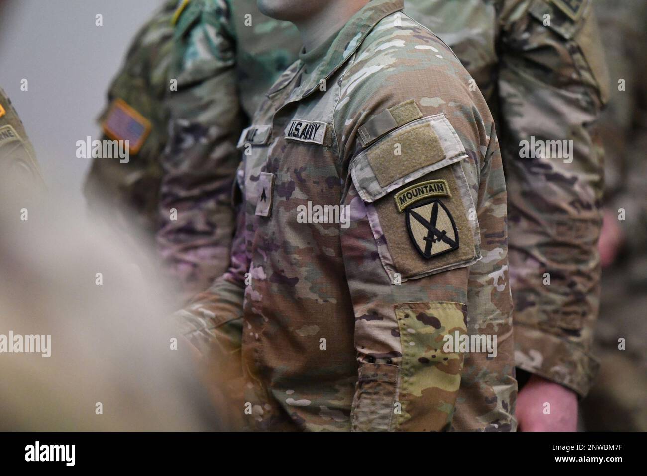 Soldiers from across the 10th Mountain Division (LI), newly arrived at ...