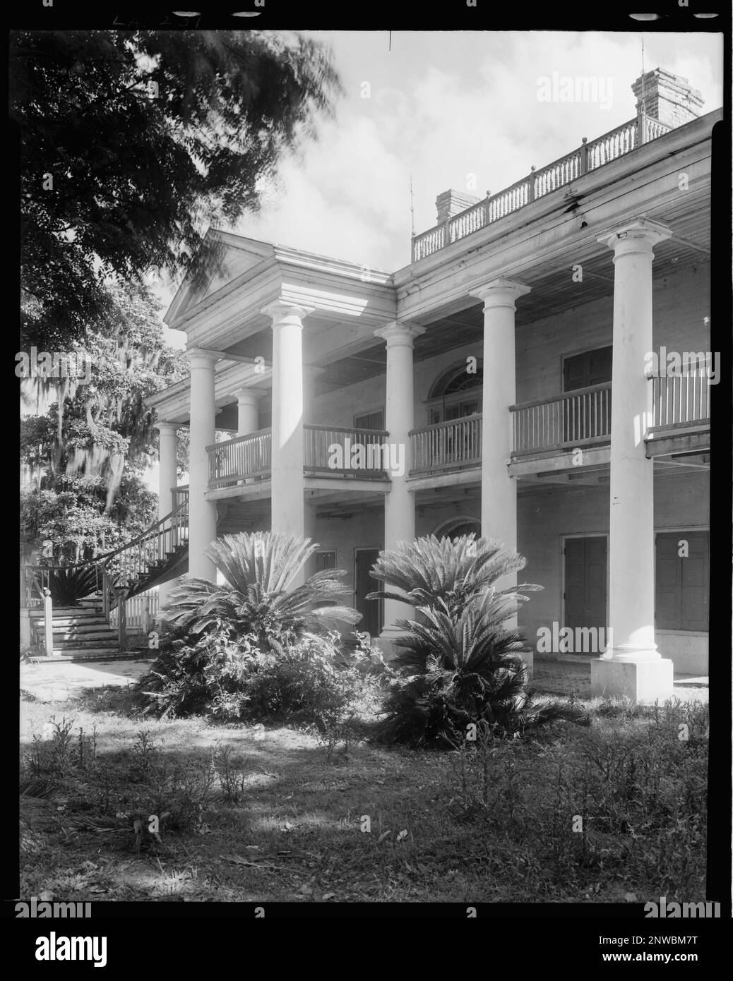 Evergreen, Wallace vic., St. John the Baptist Parish, Louisiana ...
