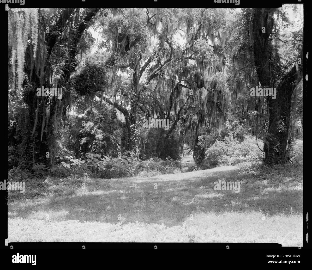 Hall House, New Iberia, Iberia Parish, Louisiana. Carnegie Survey of ...