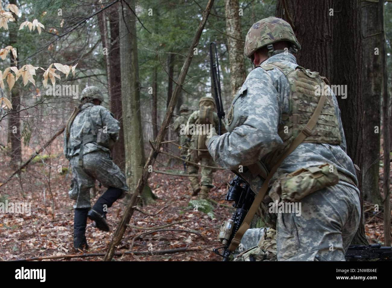 Soldiers of Alpha Company, 3rd Battalion, 172nd Infantry Regiment ...