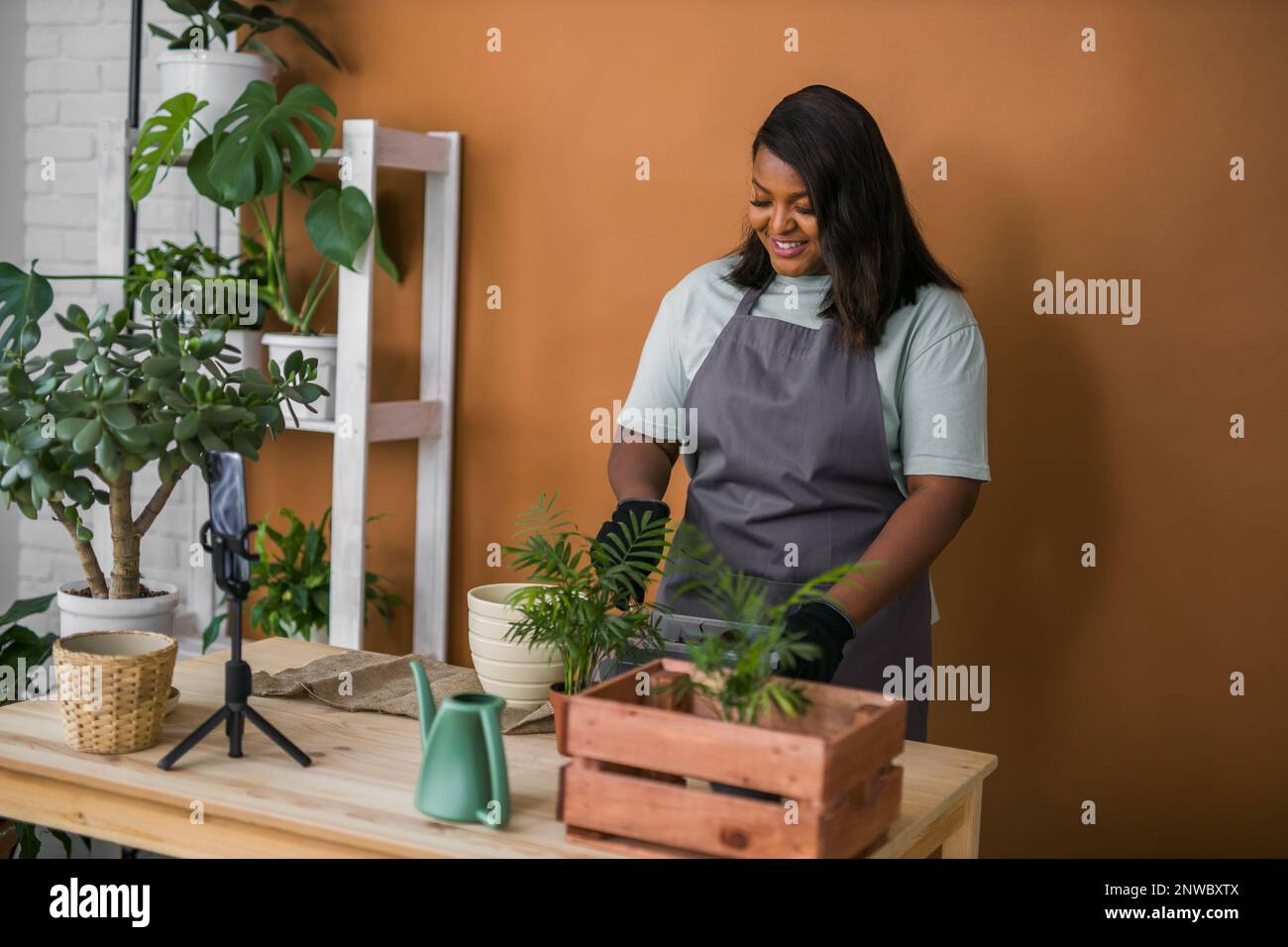 African american girl blogger influencer or SME owner work on home ...