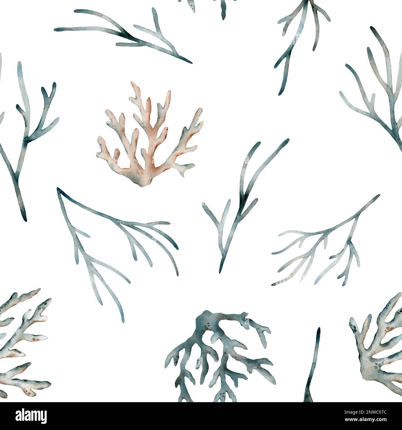 Seamless pattern with watercolor seaweed and coral. Hand painted ...