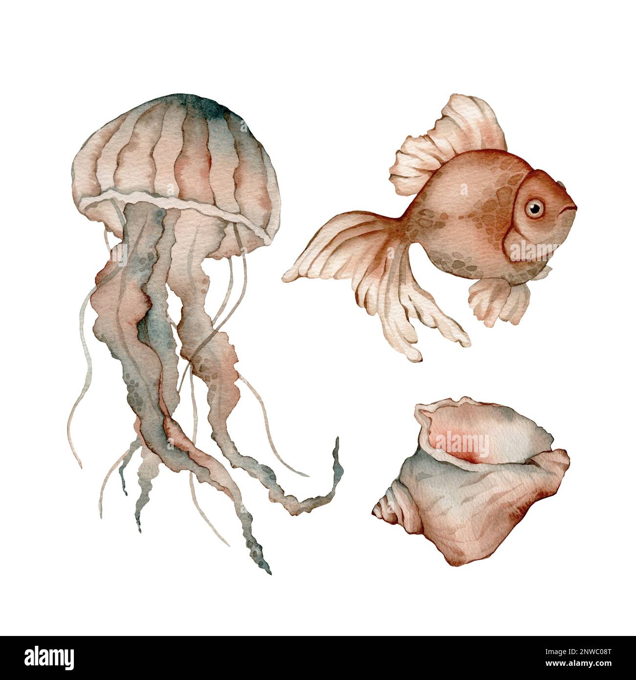 Set of sea animals poster. Blue, greeen, brown watercolor ocean shell ...