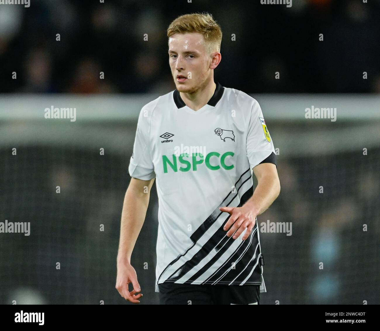 Harvey white hi-res stock photography and images - Alamy