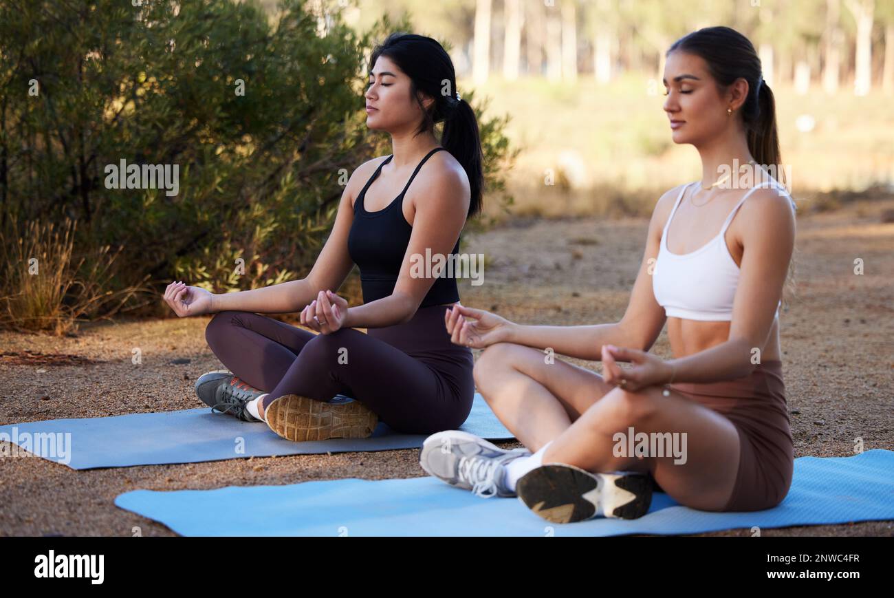 Yoga, outdoor meditation and women exercise in nature for fitness ...