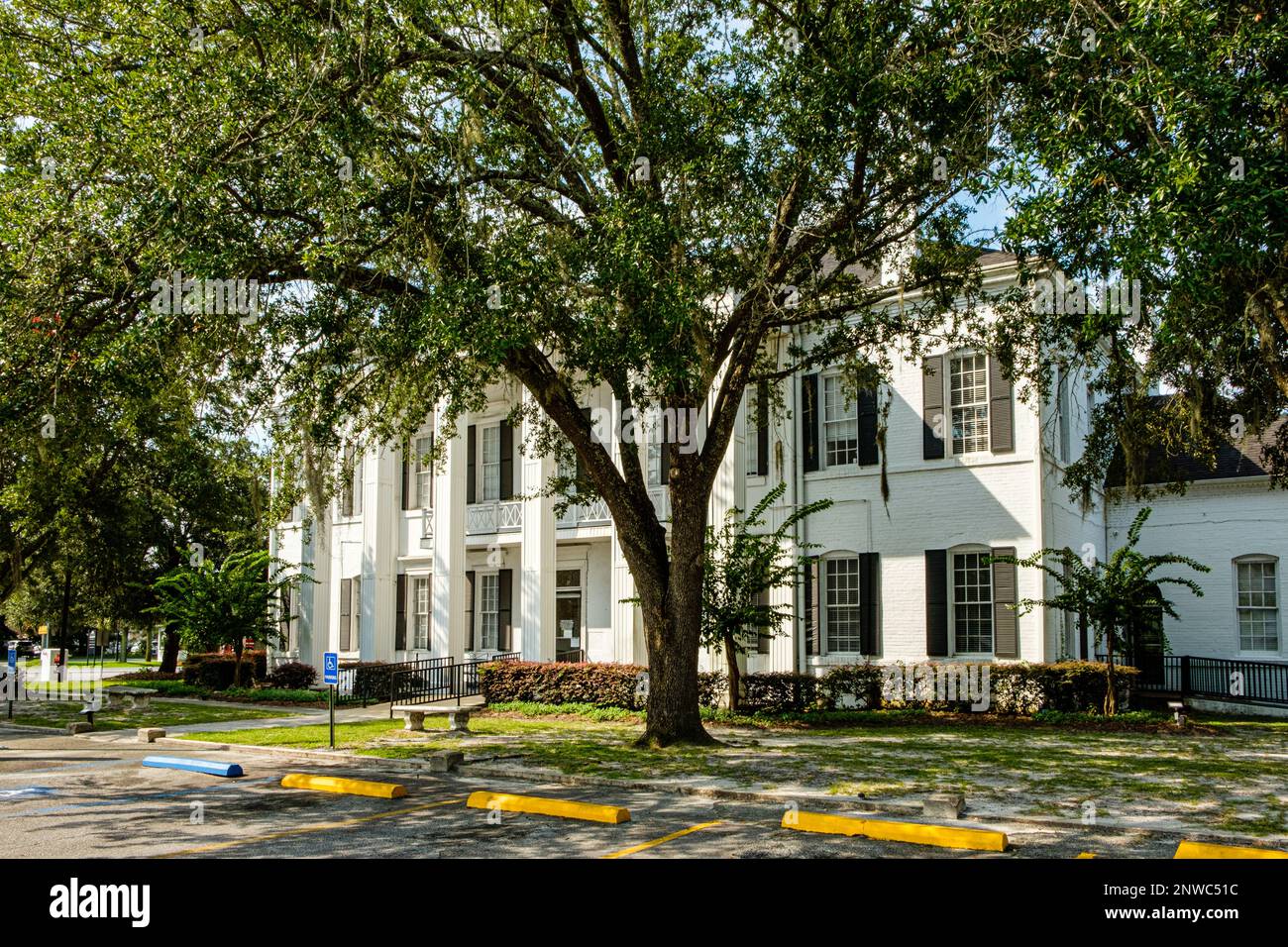 Homerville georgia hi-res stock photography and images - Alamy