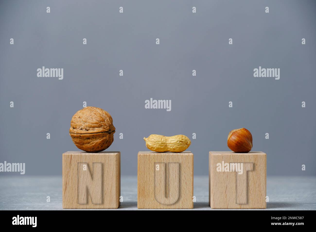 Peanut, hazelnut and walnut are laid out on wooden cubes gray ...