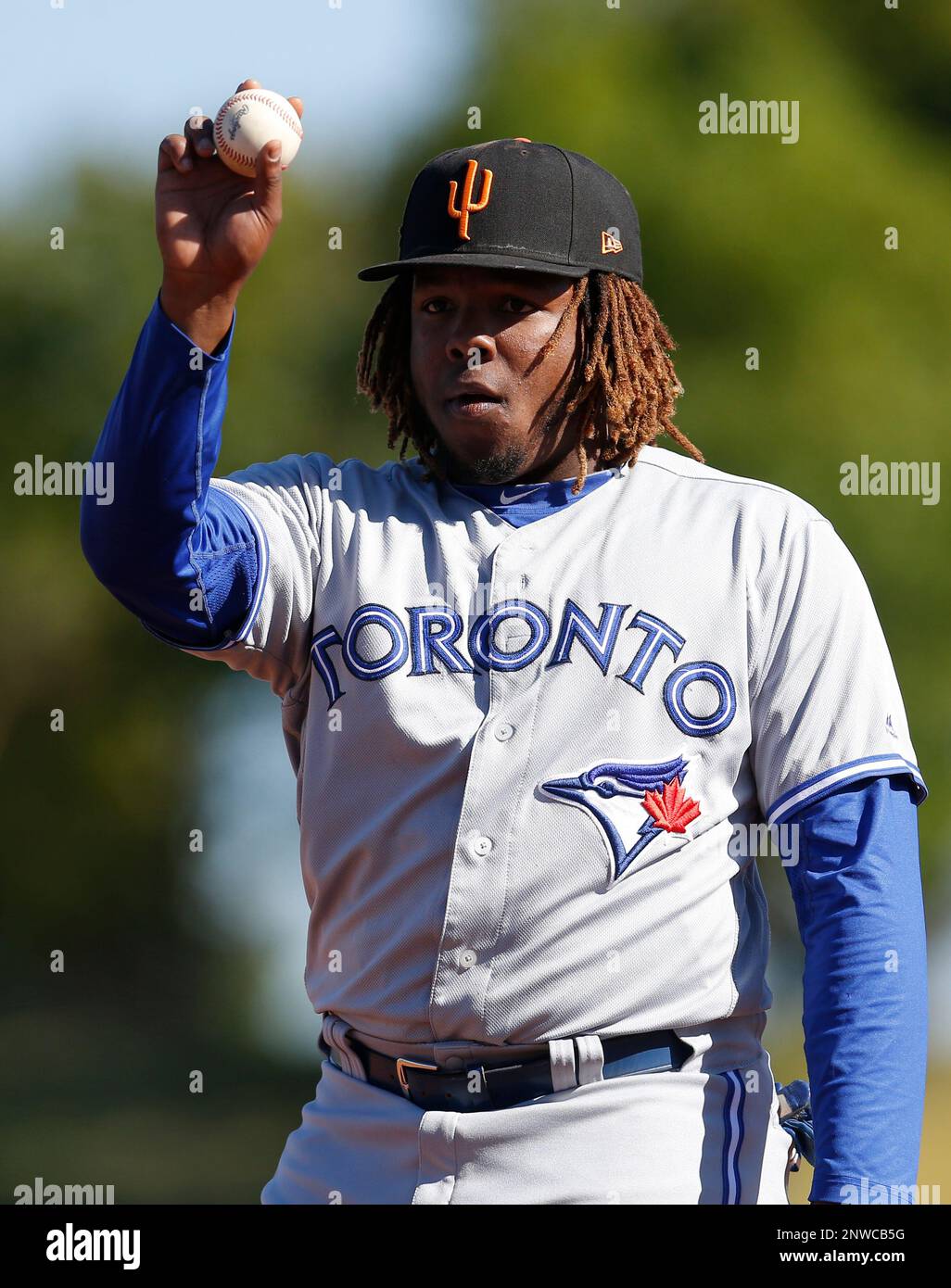 Toronto Blue Jays third baseman Vladimir Guerrero Jr. during a MLB Fall ...