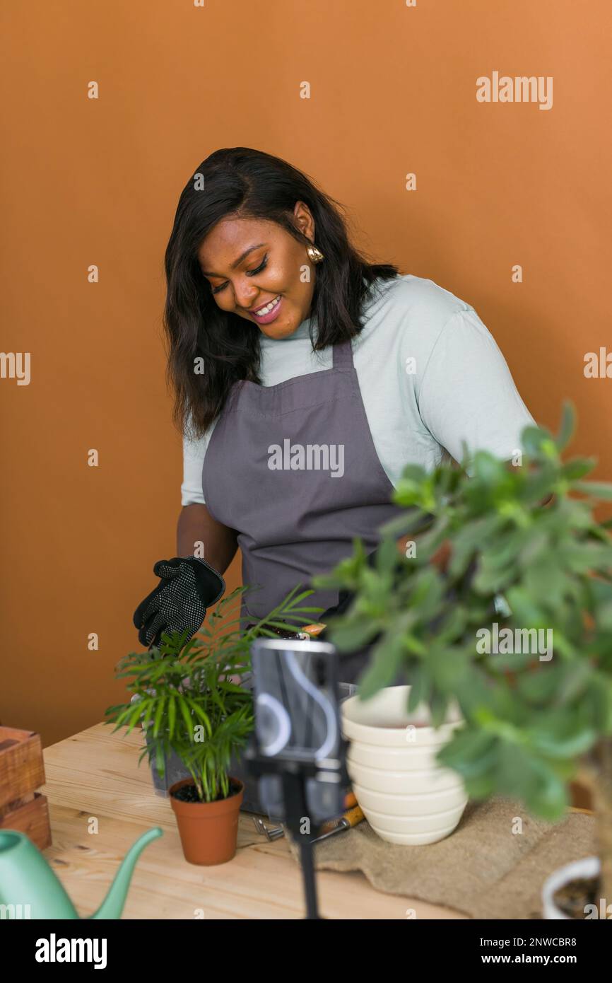 African american girl blogger influencer or SME owner work on home ...