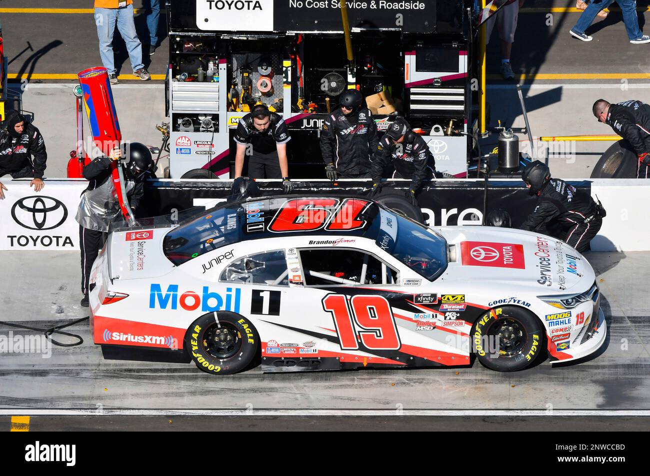 #19: Brandon Jones, Joe Gibbs Racing, Toyota Camry Toyota Service ...