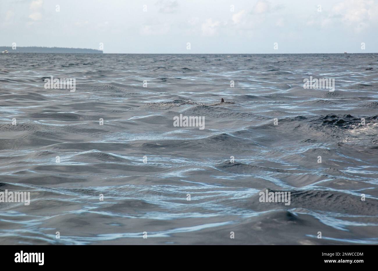 Close up shot of moderately rough sea water shot from a boat for use as ...