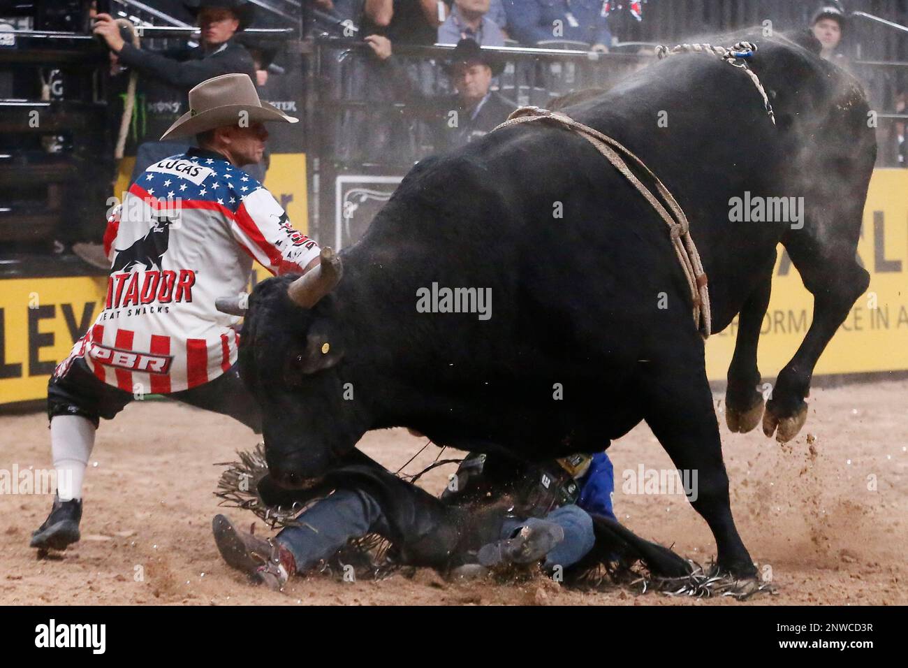 LAS VEGAS, NV - NOVEMBER 11: Bullfighter Lucas Teodoro reaches to bull ...