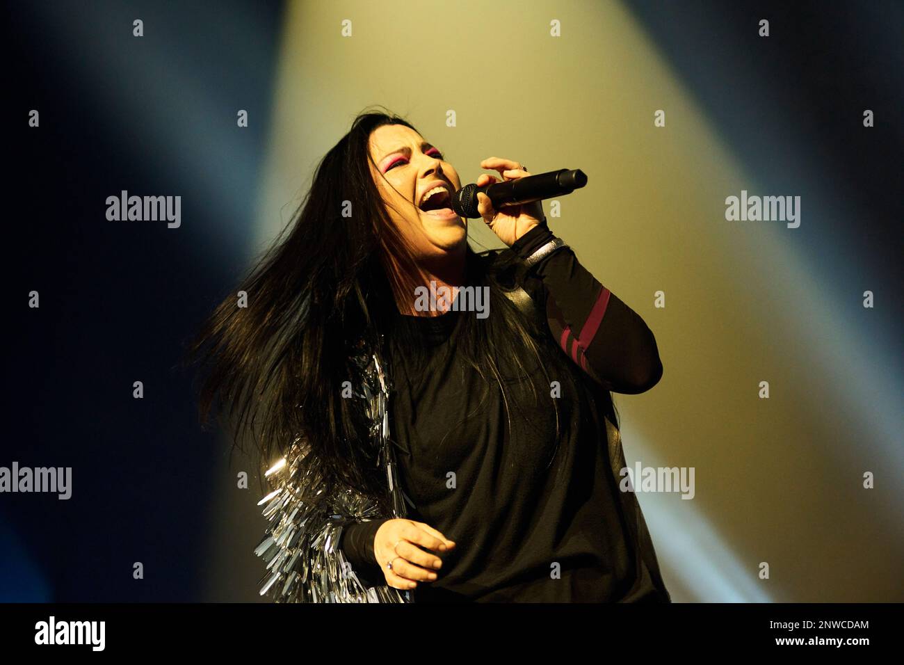Evanescence on stage hi-res stock photography and images - Alamy