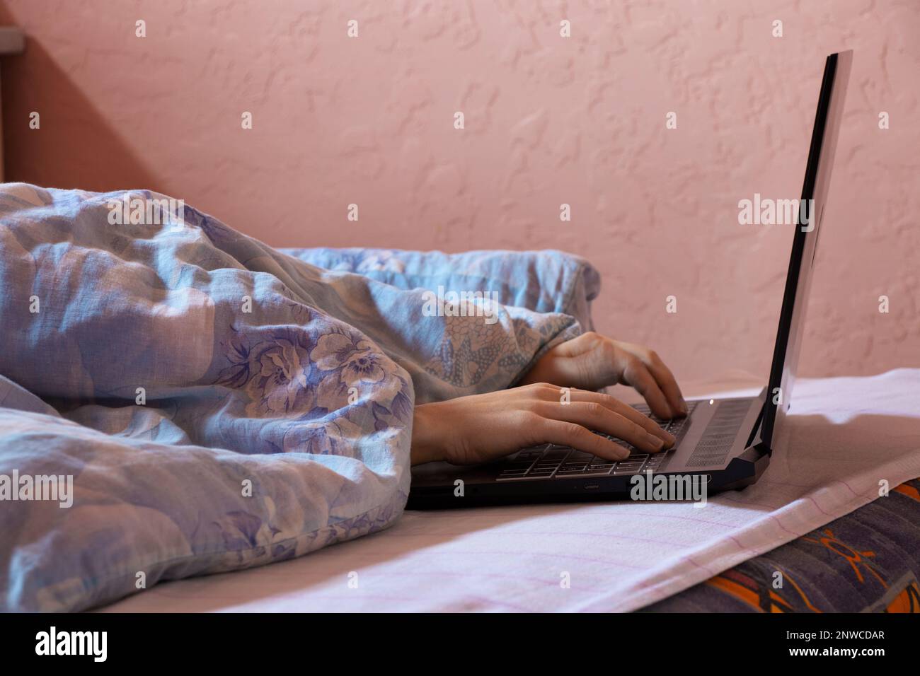 female hands on the laptop keyboard on the bed in a blanket, working at ...