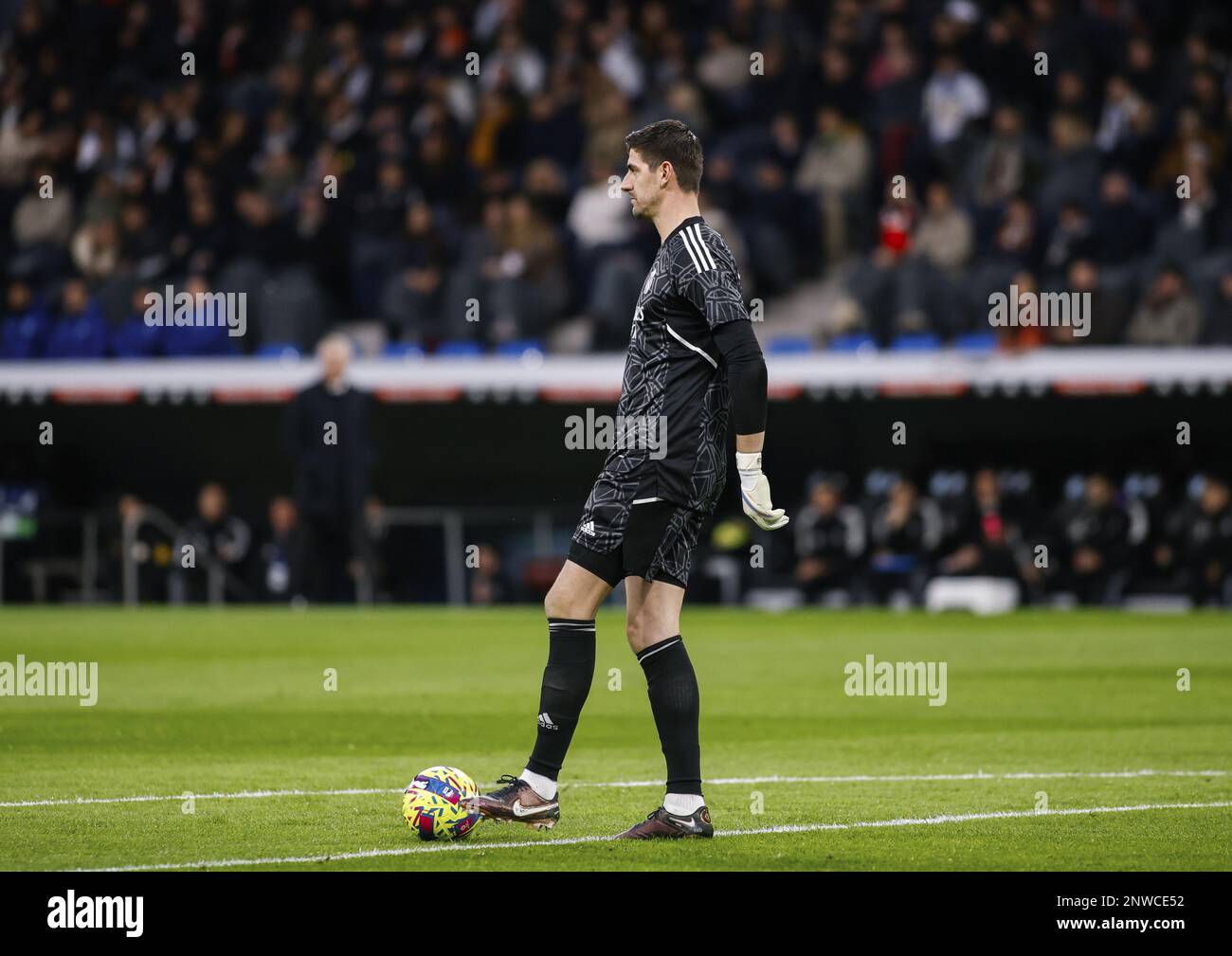 Thibaut courtois foto hi-res stock photography and images - Alamy