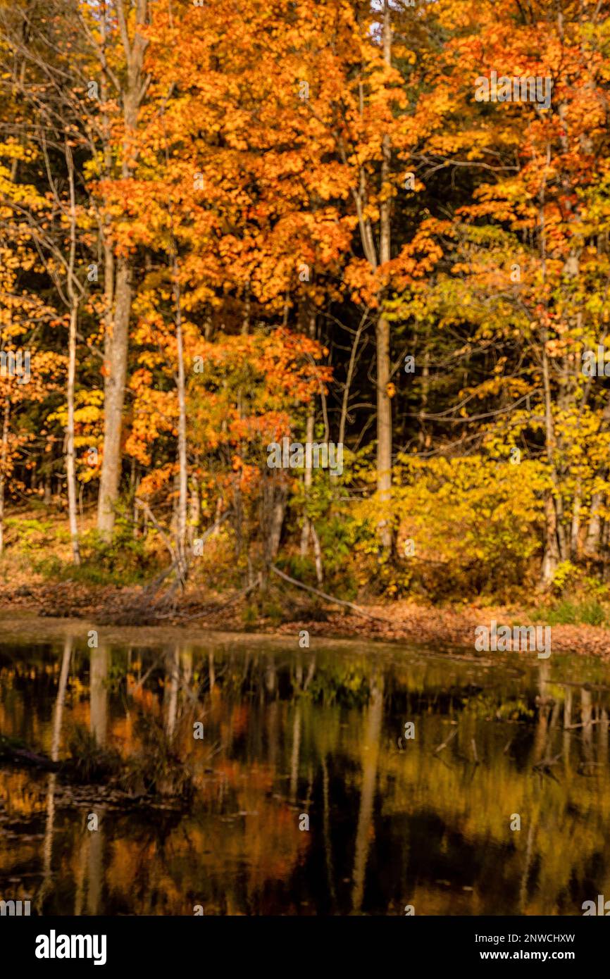 Beautiful Fall imagery from Ontario, Canada Stock Photo - Alamy