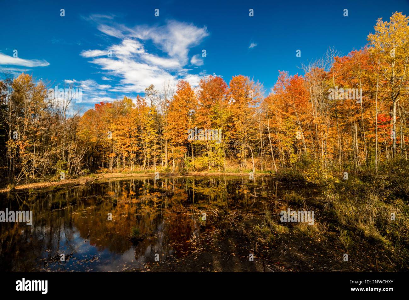 Beautiful Fall imagery from Ontario, Canada Stock Photo - Alamy