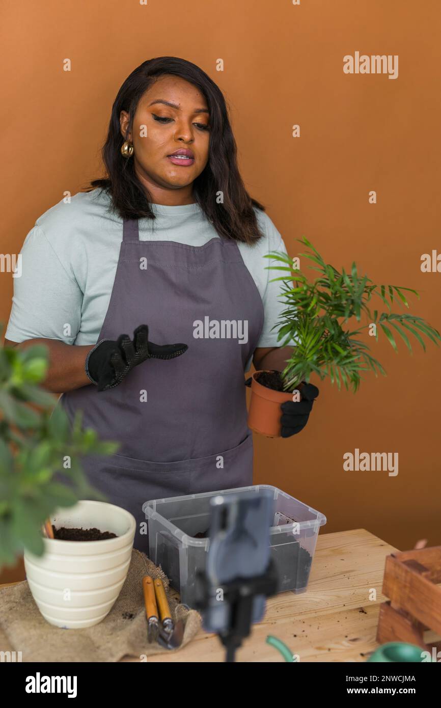 African american girl blogger influencer or SME owner work on home ...