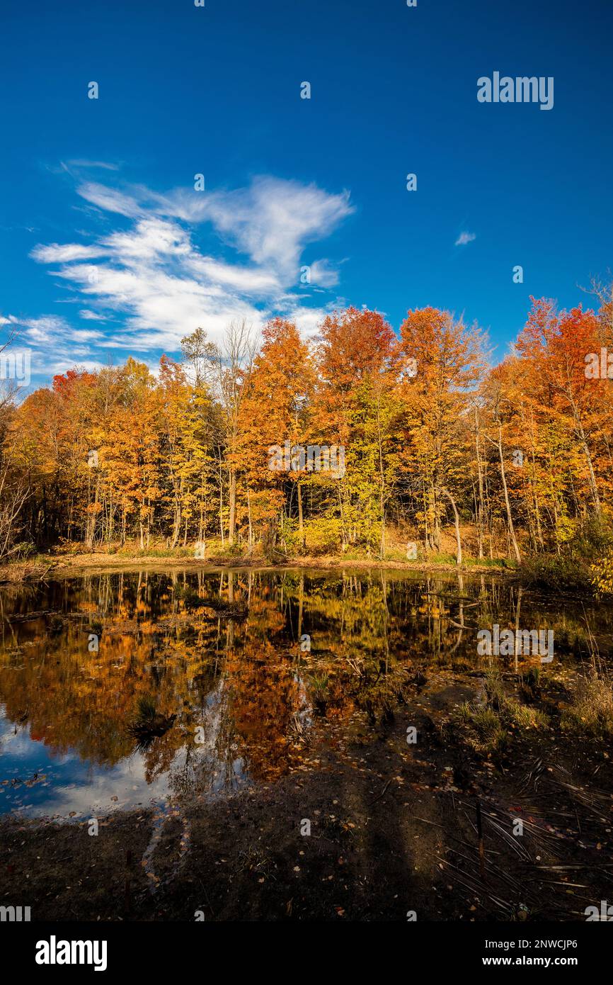 Beautiful Fall imagery from Ontario, Canada Stock Photo - Alamy