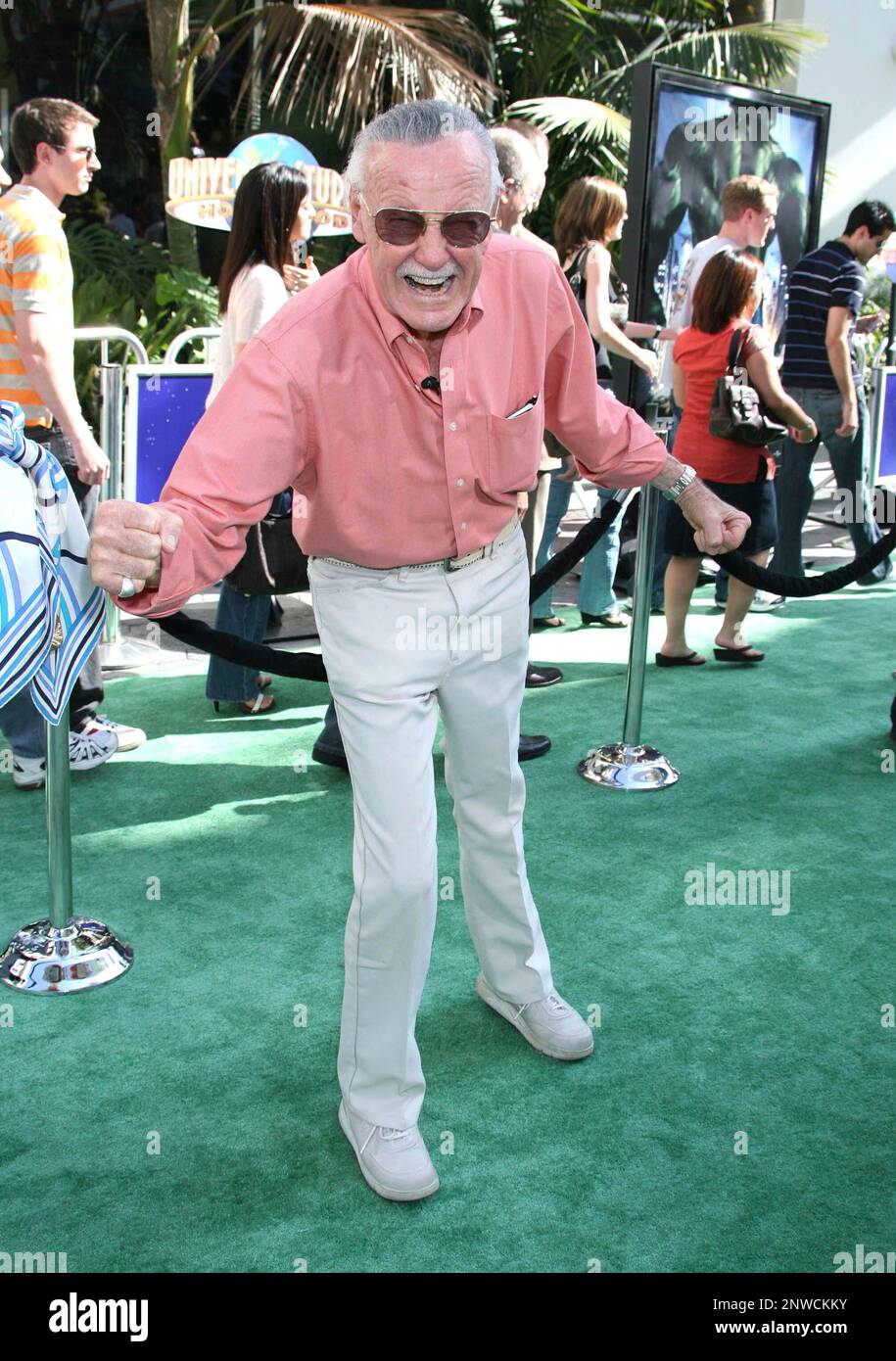 Stan Lee The Incredible Hulk
