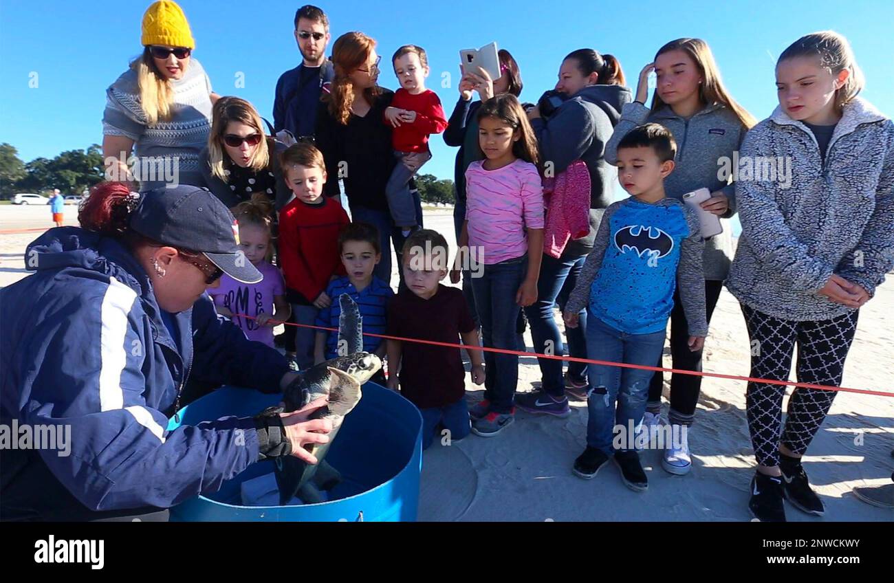 Erin Fitzpatrick-Wacker, stranding co-ordinator for the Institute for ...