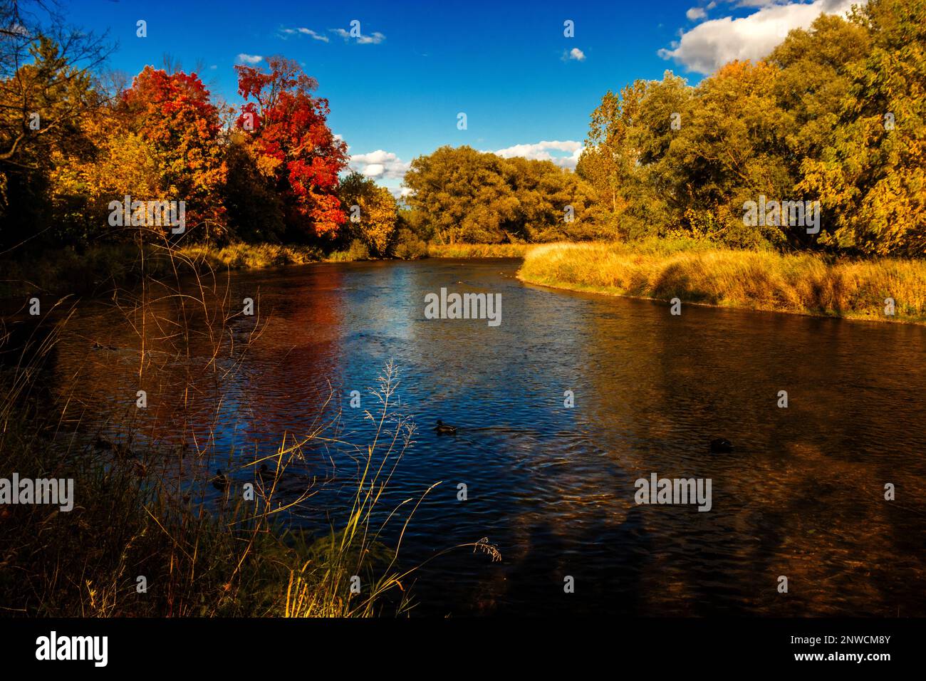 Beautiful Fall imagery from Ontario, Canada Stock Photo - Alamy
