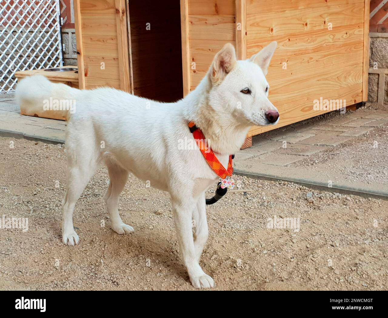 In this photo provided by South Korea Presidential Blue House in Sept ...