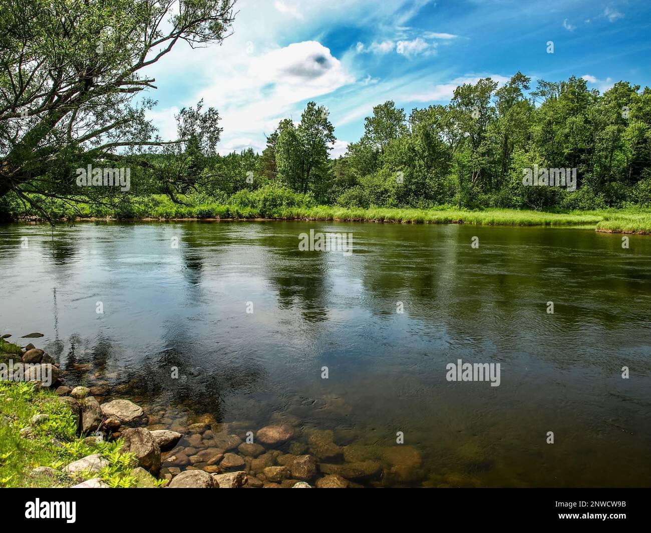 Summer by the riverside in Haliburton, ON, Canada Stock Photo - Alamy