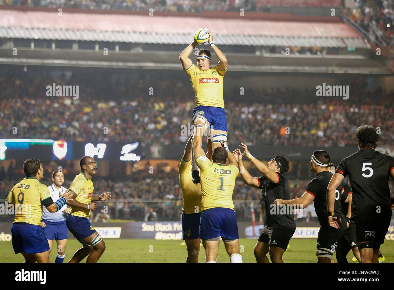 SP - Sao Paulo - 10/11/2018 - Brasil Rugby x All Blacks Maori ...