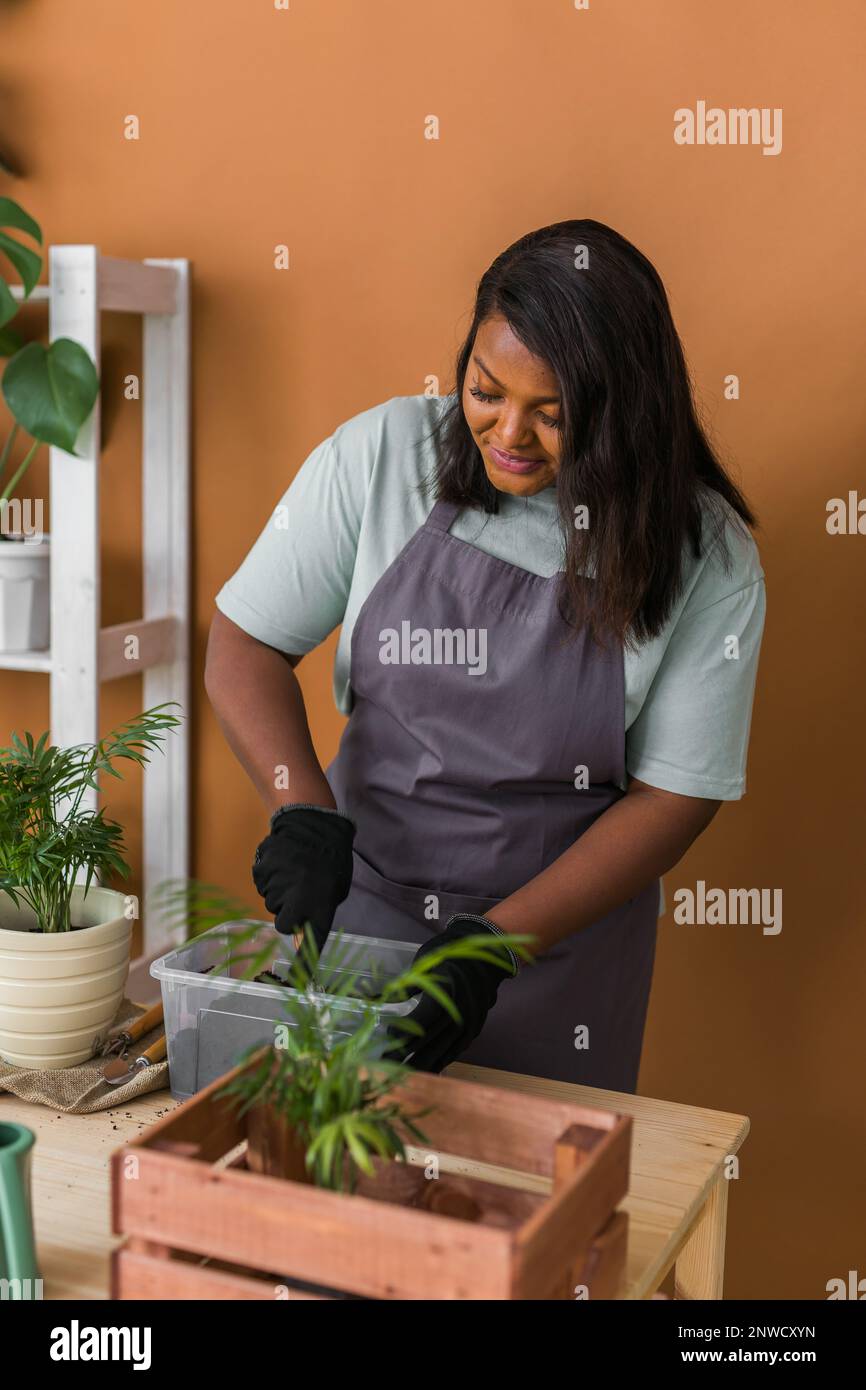 African american woman transplanting plant into new pot home gardening ...