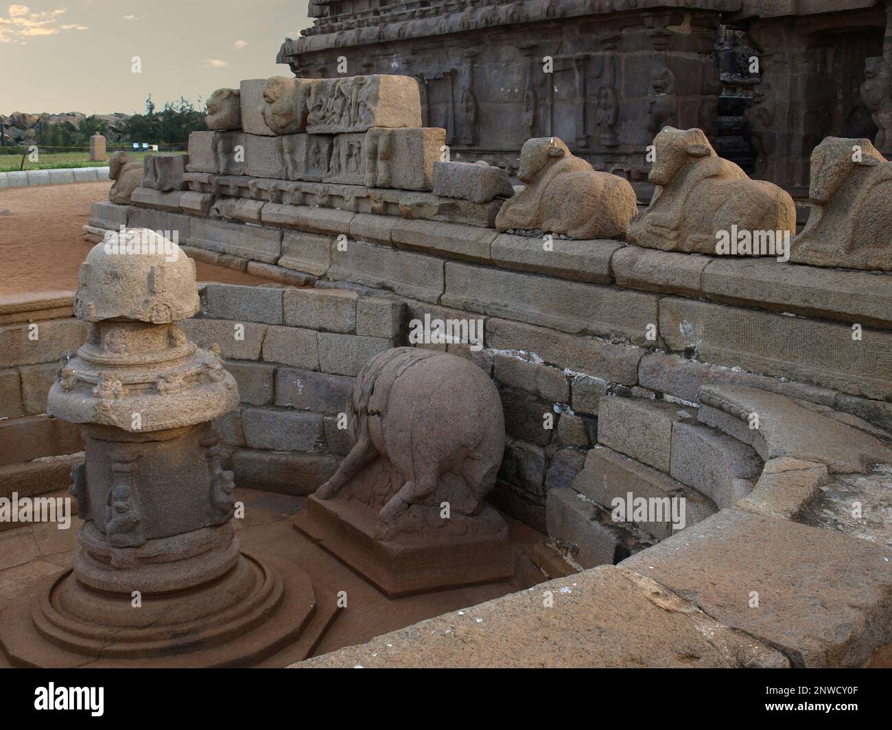 Bulls carved in stone with intricate stone work at Mamallapuram, TN ...