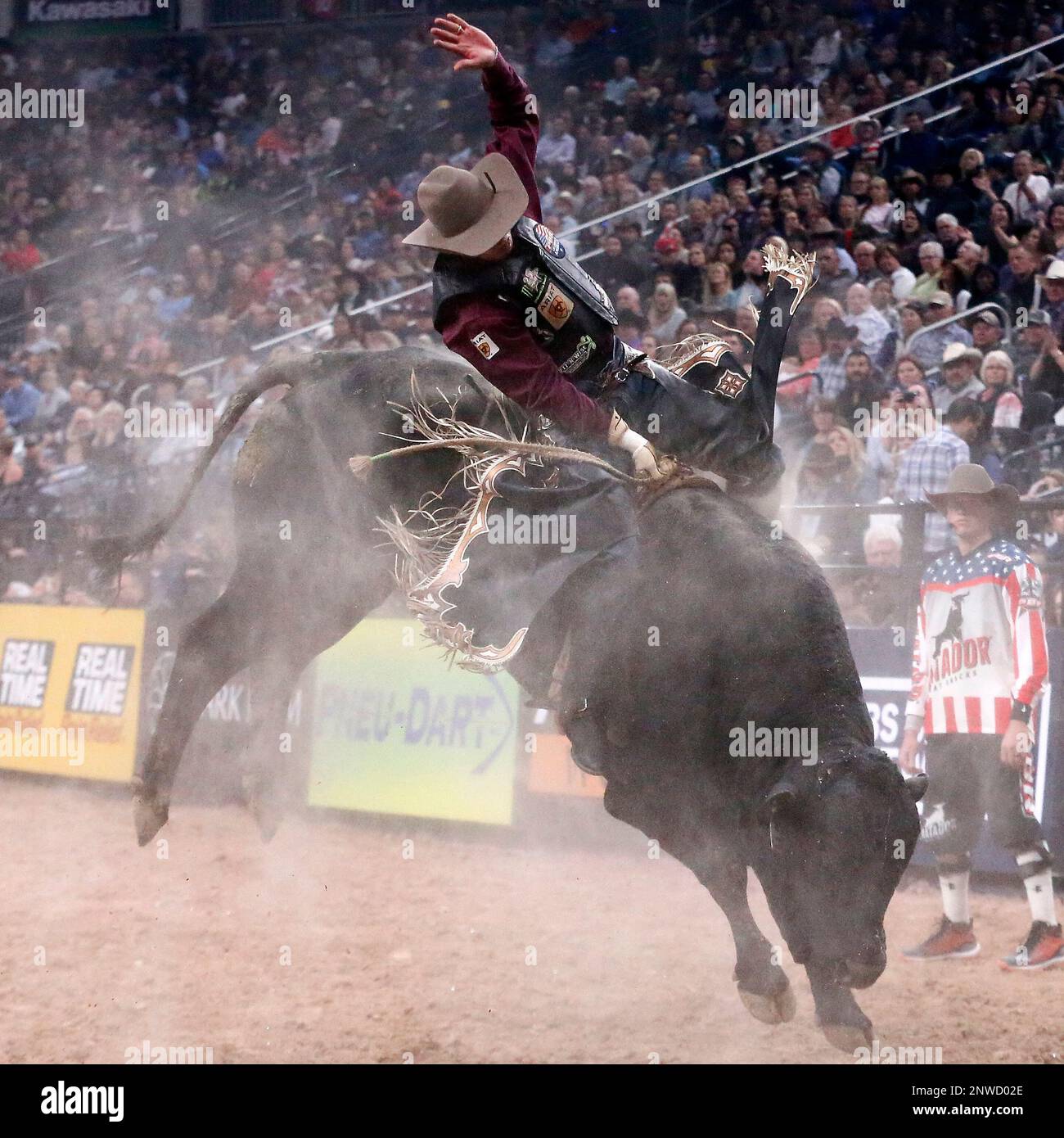 LAS VEGAS, NV - NOVEMBER 09: Marco Antonio Eguchi rides bull Stunt Man ...