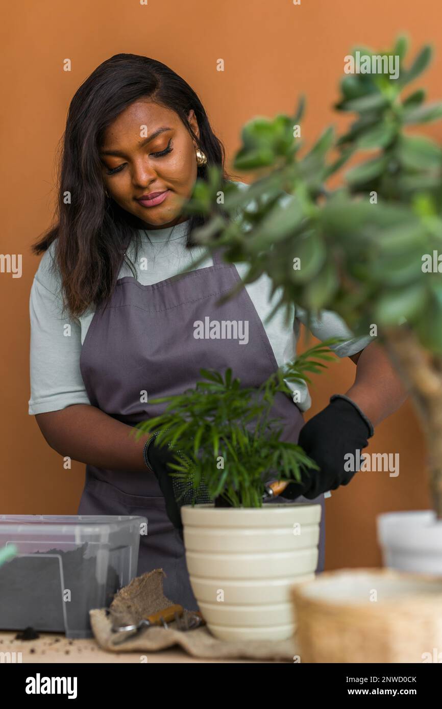 African american woman transplanting plant into new pot home gardening ...