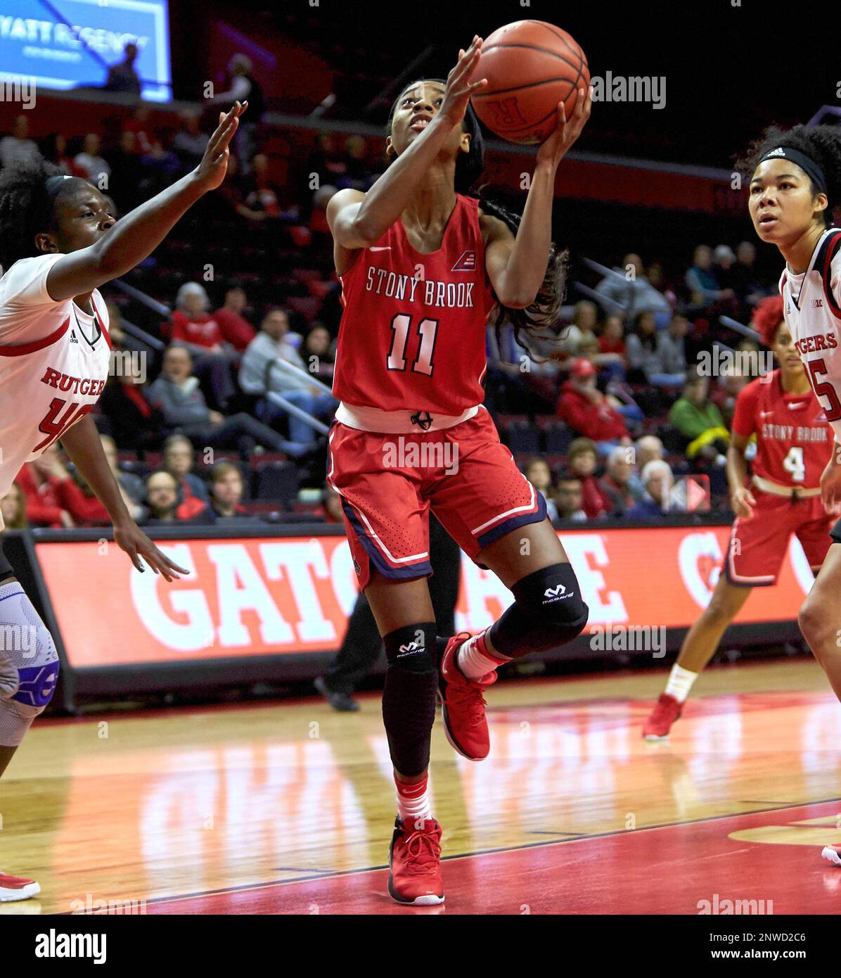 November 9, 2018 - Piscataway, New Jersey, U.S. - Stony Brook Seawolves ...