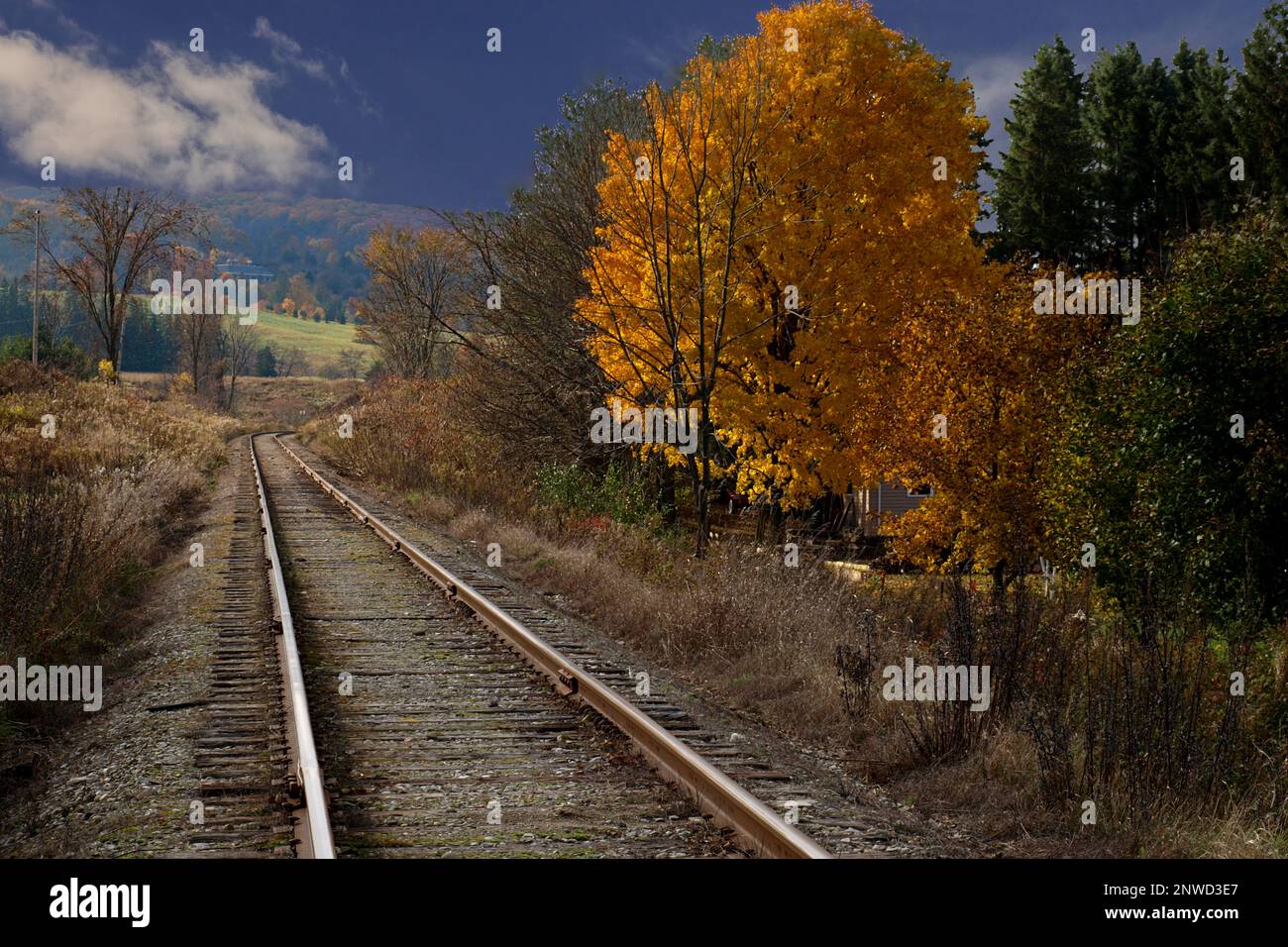 Train track in Caledon, Ontario, Canada, in the fall season Stock Photo ...