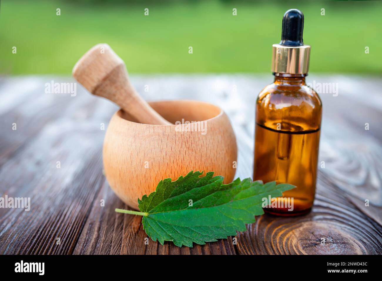 Elexir and nettle essential oil. Wooden mortar and cosmetic jar with ...