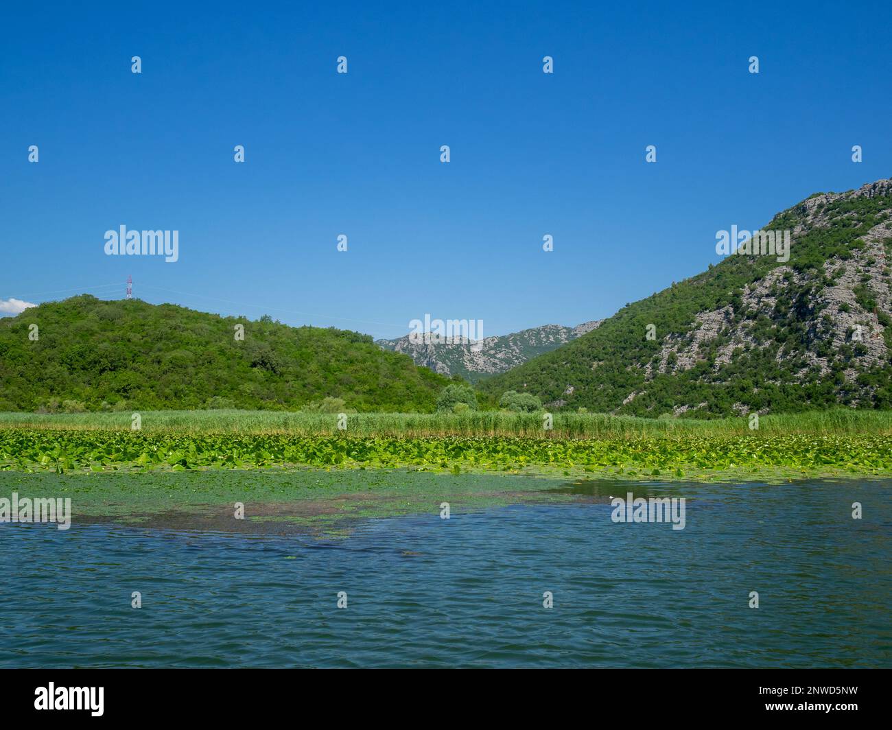 Lake Skadar shore landscape, Montenegro Stock Photo - Alamy