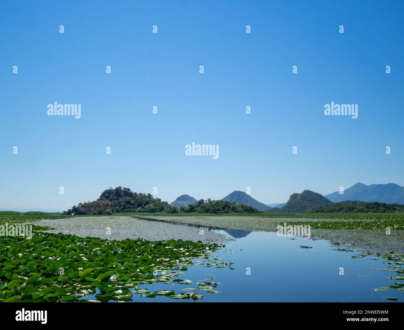 Lake Skadar landscape, Montenegro Stock Photo - Alamy