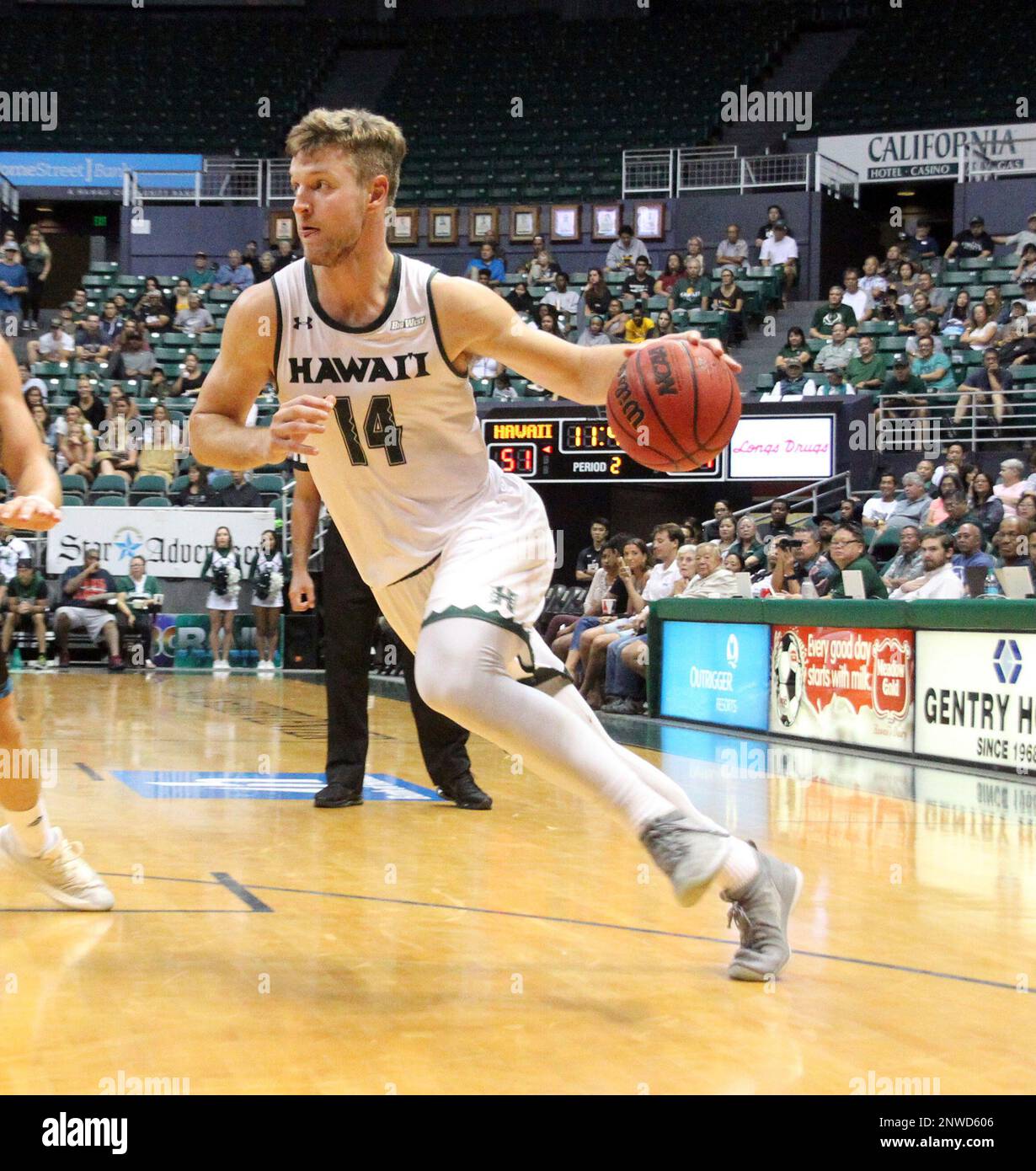 November 2, 2018 - Hawaii Rainbow Warriors forward Zigmars Raimo #14 ...