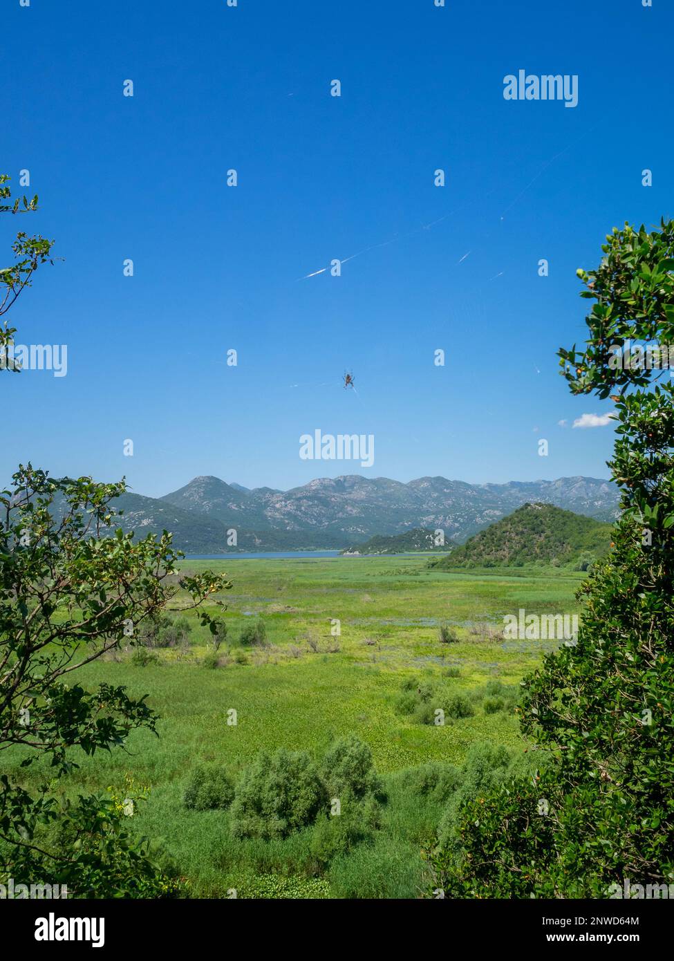 Lake Skadar seen from Kom Monastery islet, Montenegro Stock Photo - Alamy