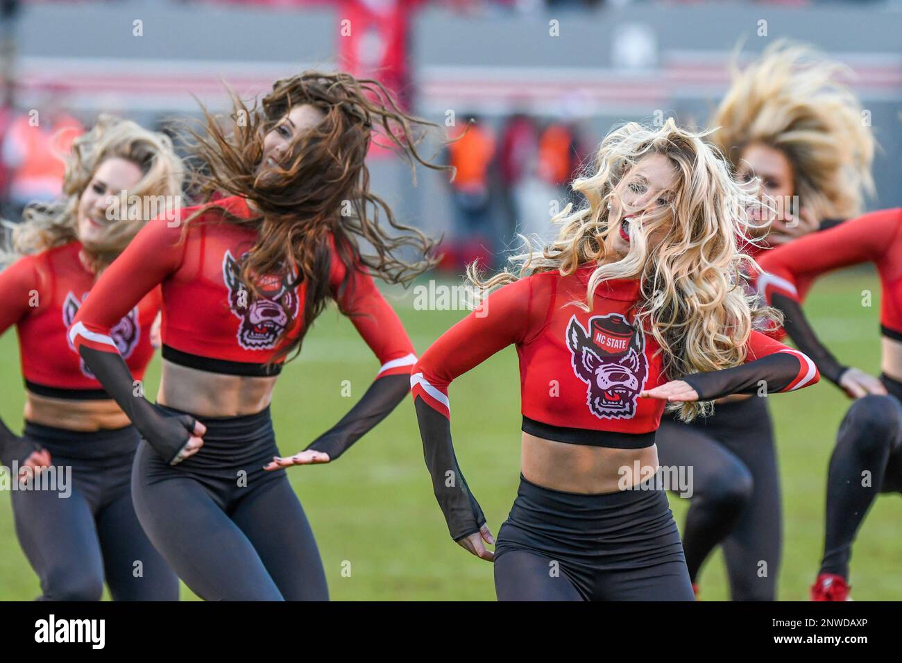 RALEIGH, NC - NOVEMBER 03: North Carolina State Wolfpack Cheerleaders ...