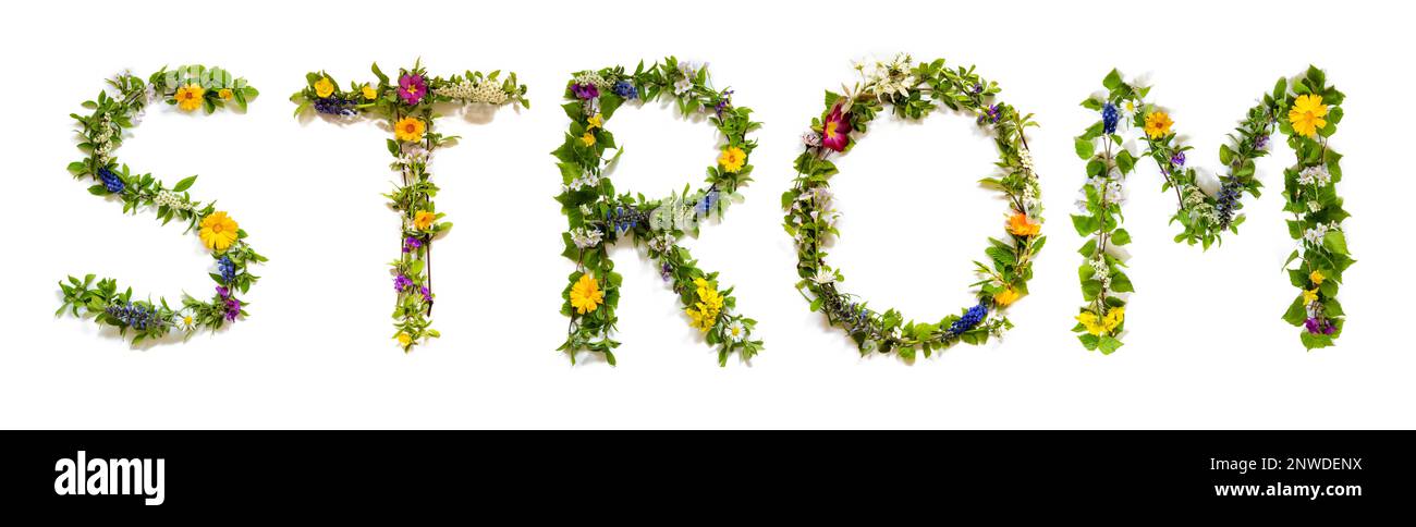 Blooming Flower Letters Building German Word Strom Means Electricity ...