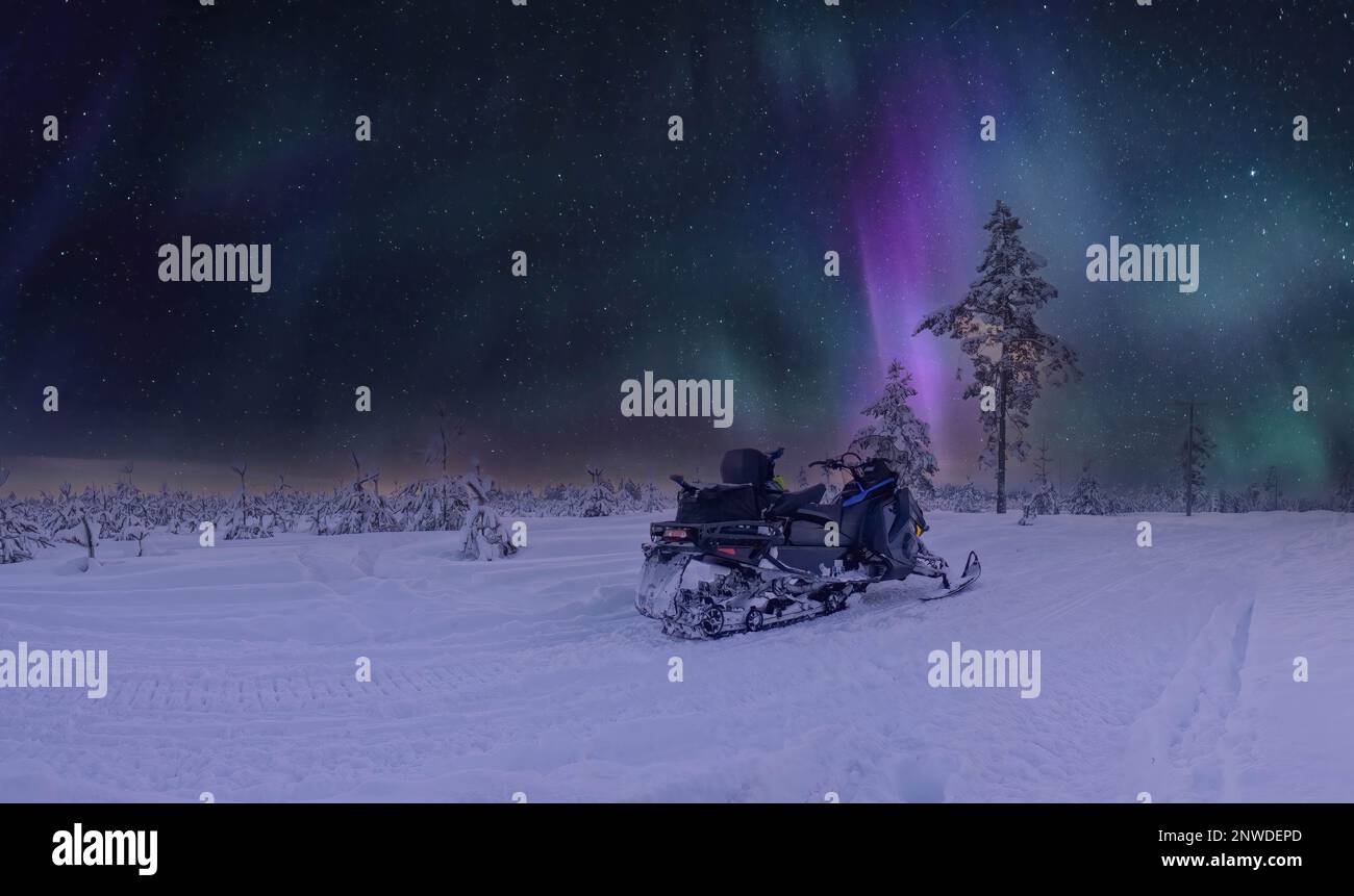 Scenic very frozen snowy young pine tree forest under Aurora skies ...