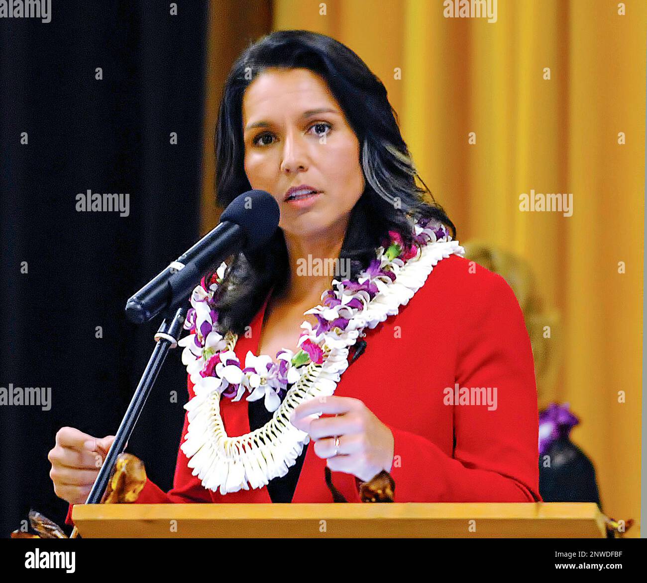 FILE - In this Tuesday, April 11, 2017 file photo, Democratic Rep ...