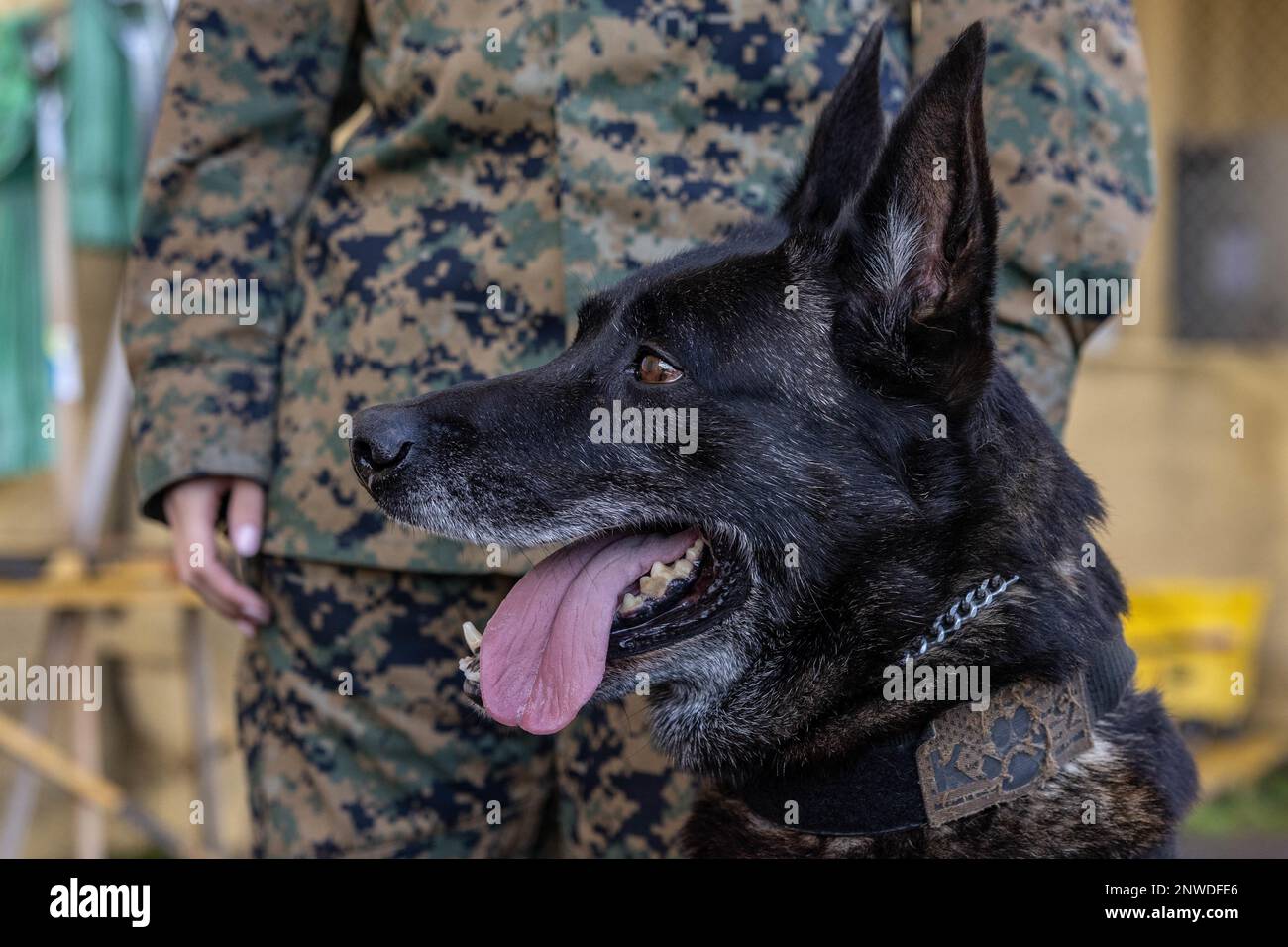 Searches explosives hi-res stock photography and images - Alamy