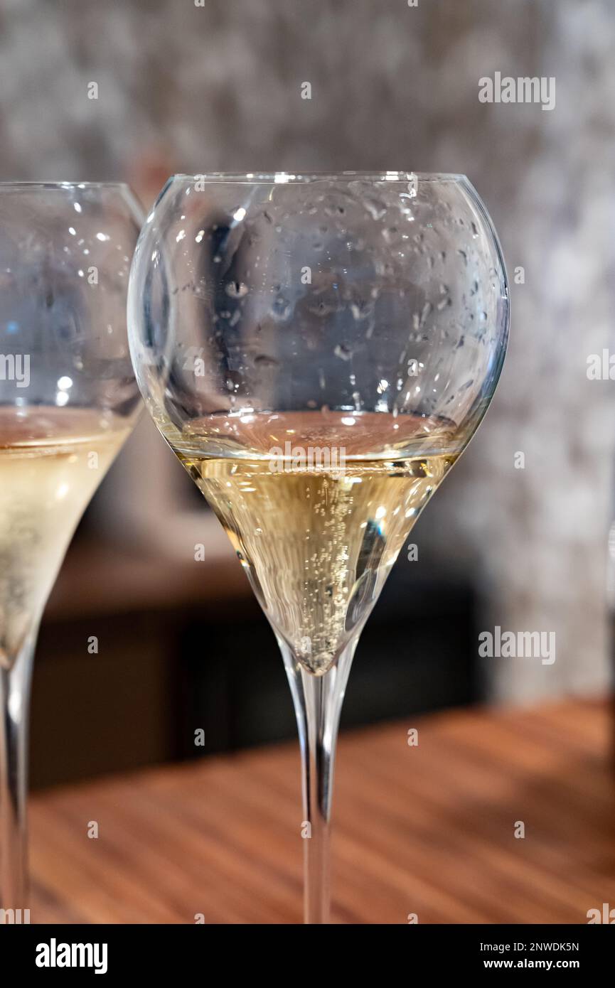 Tasting glass with cold brut Champagne sparkling wine in cellars of ...
