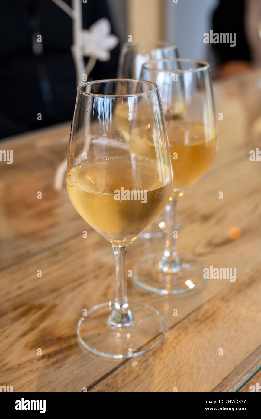 Tasting glass with cold brut Champagne sparkling wine in cellars of ...