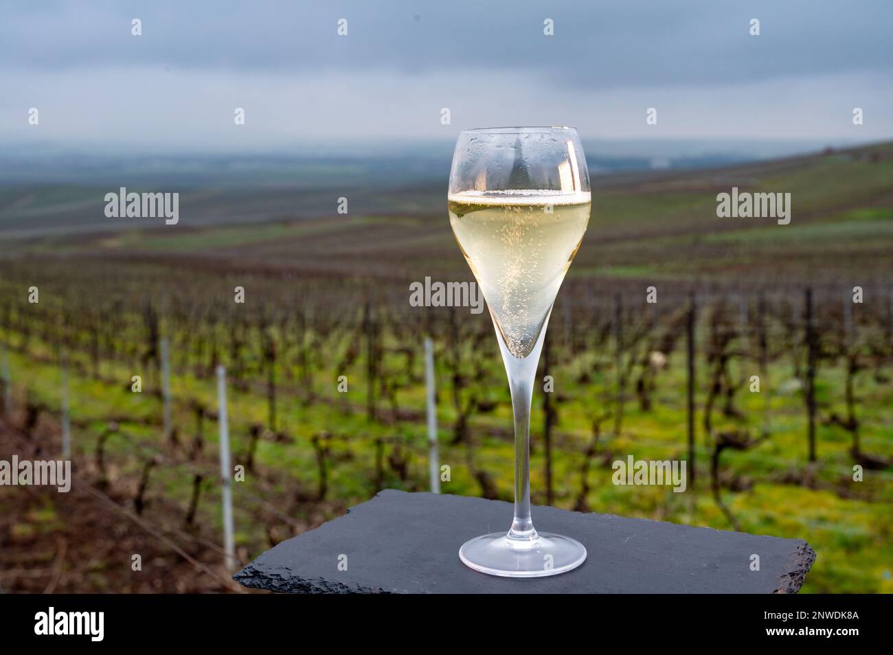 Winter tasting of brut champagne sparkling wine outdoor with view on ...